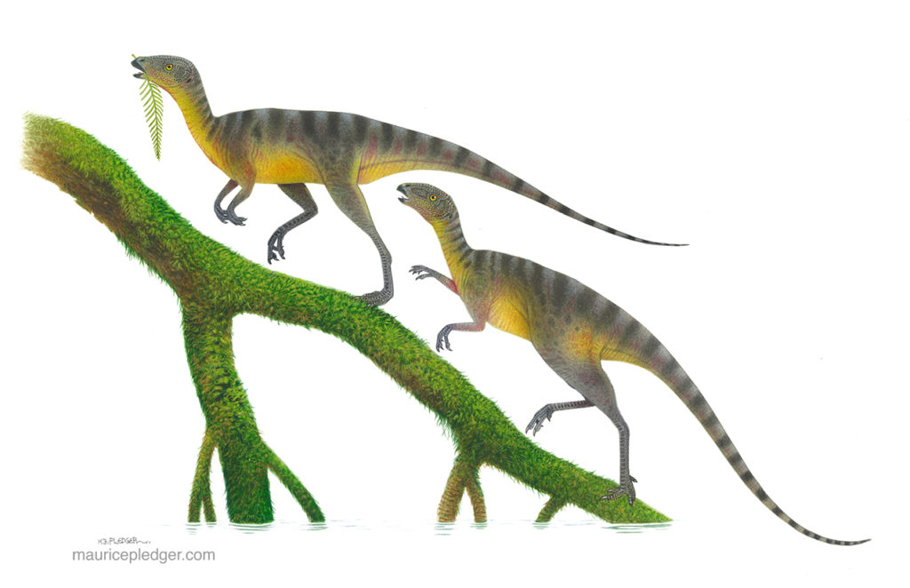 Dinosaurs – Maurice Pledger